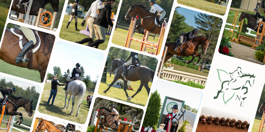 North East Trillium Hunter Jumper Association